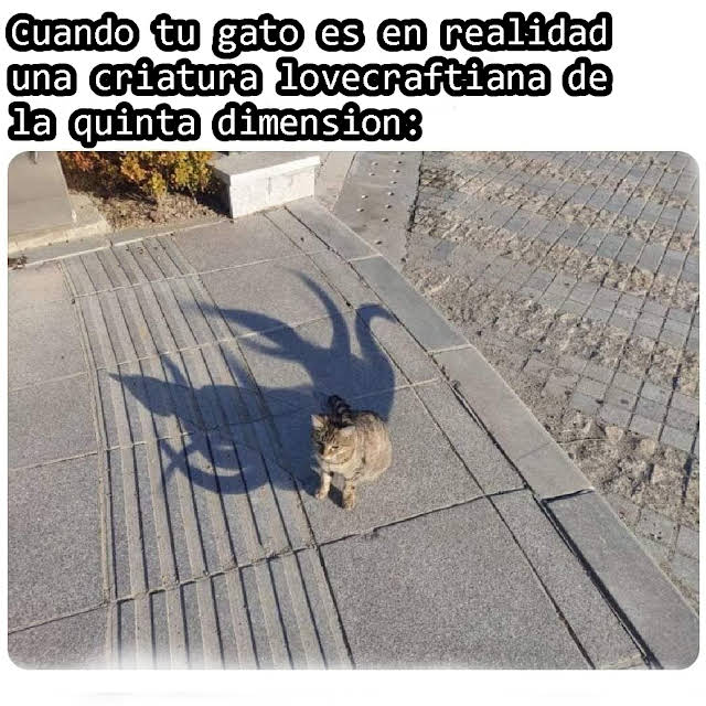 Fotos para decir Conchetumadre | Página 3686 | ElAntro