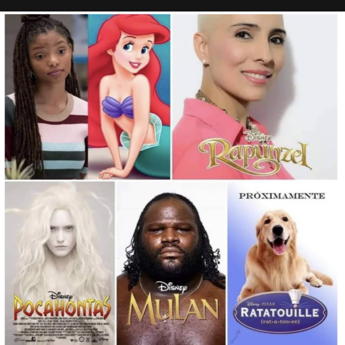 Post from MEME VIDEOS