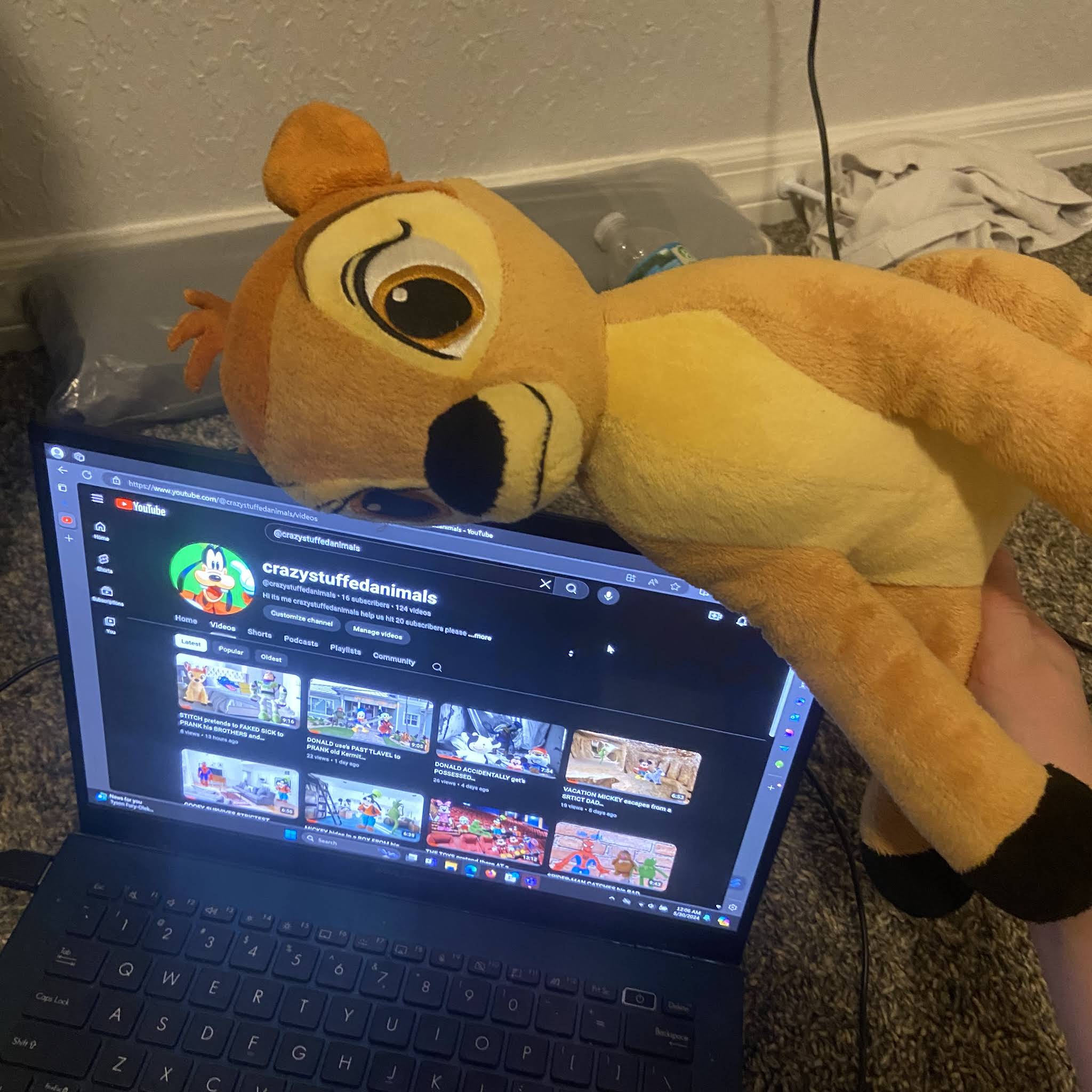 Post from Crazy Stuffed Animals
