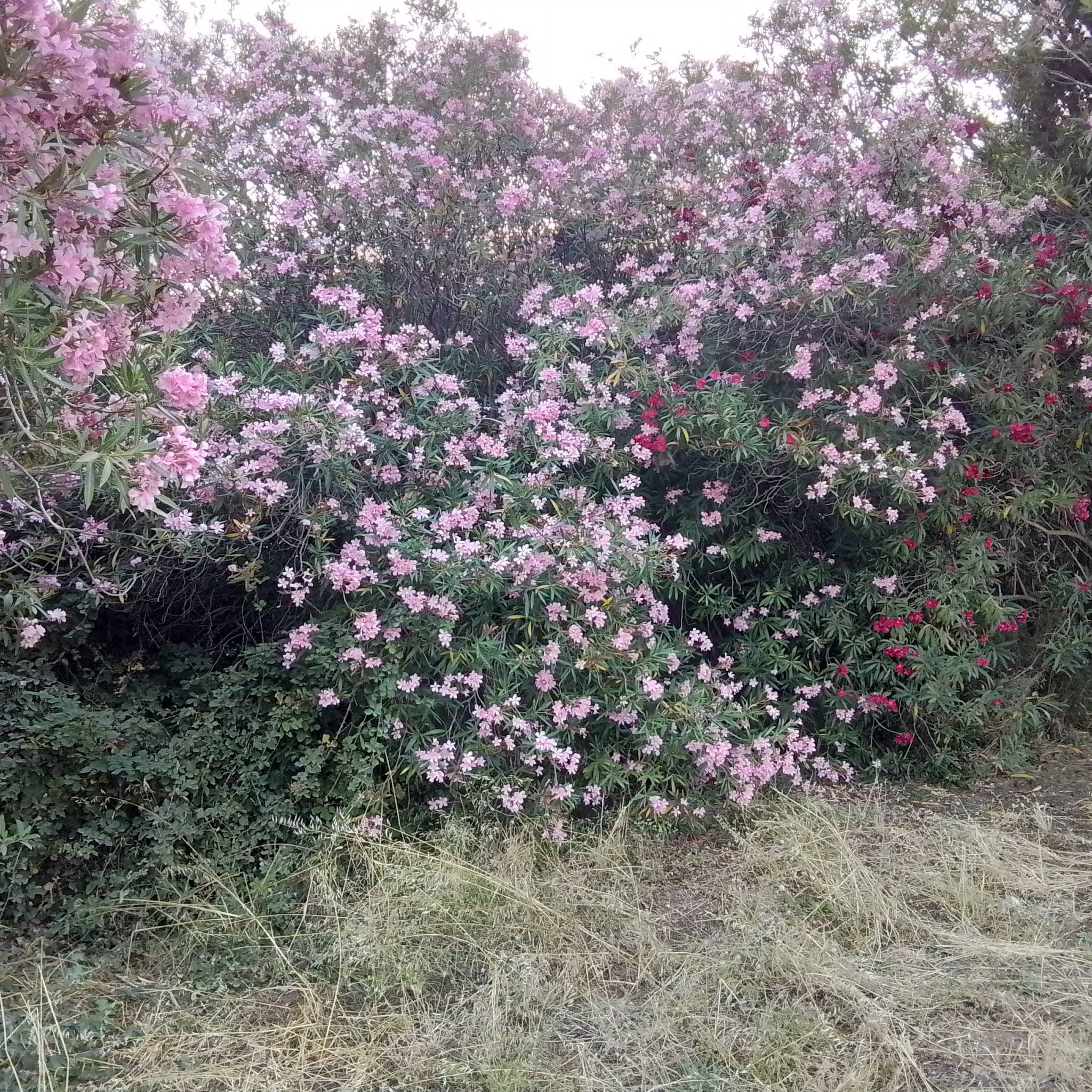 Post from K2Y Officiel