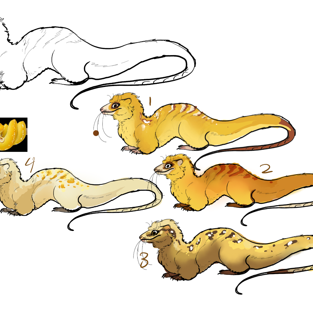 Post from Sekker Draws