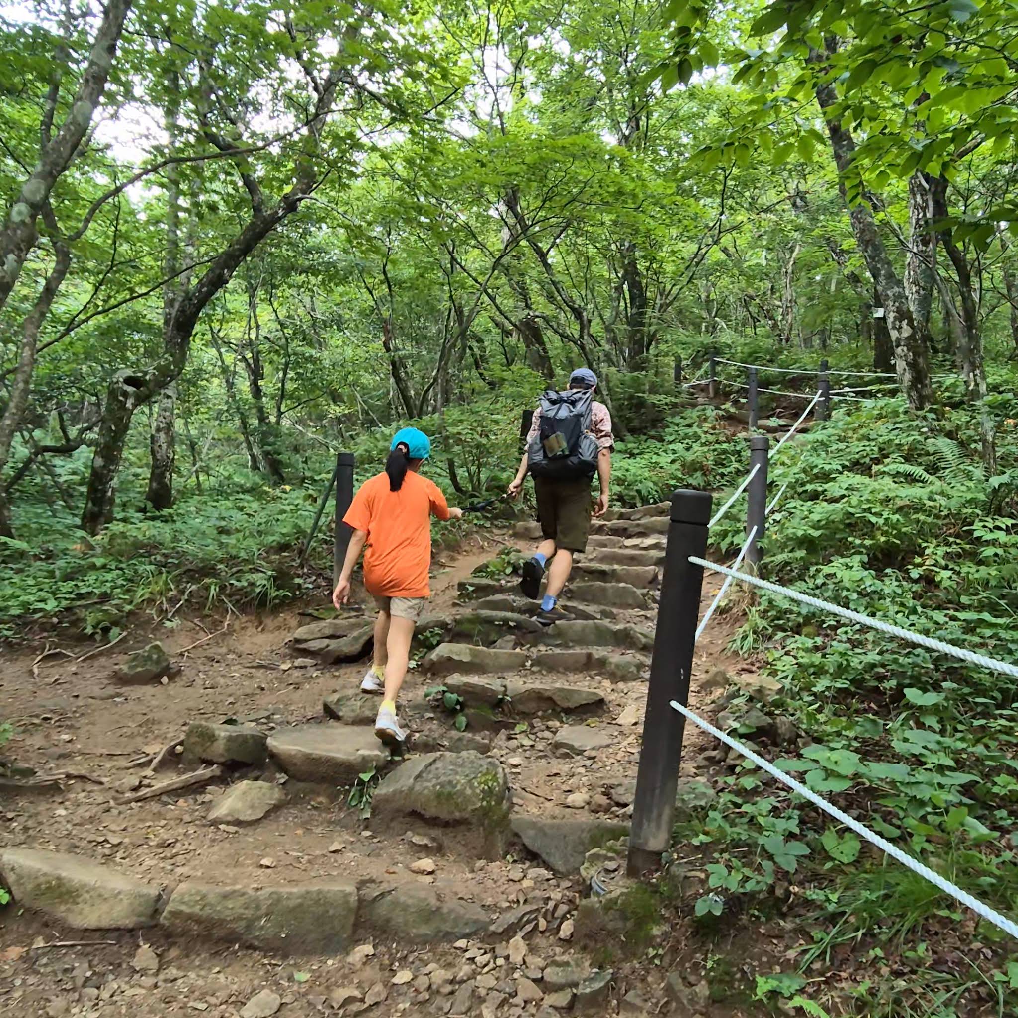 Post from Dorisan Outdoors 도리산 TV