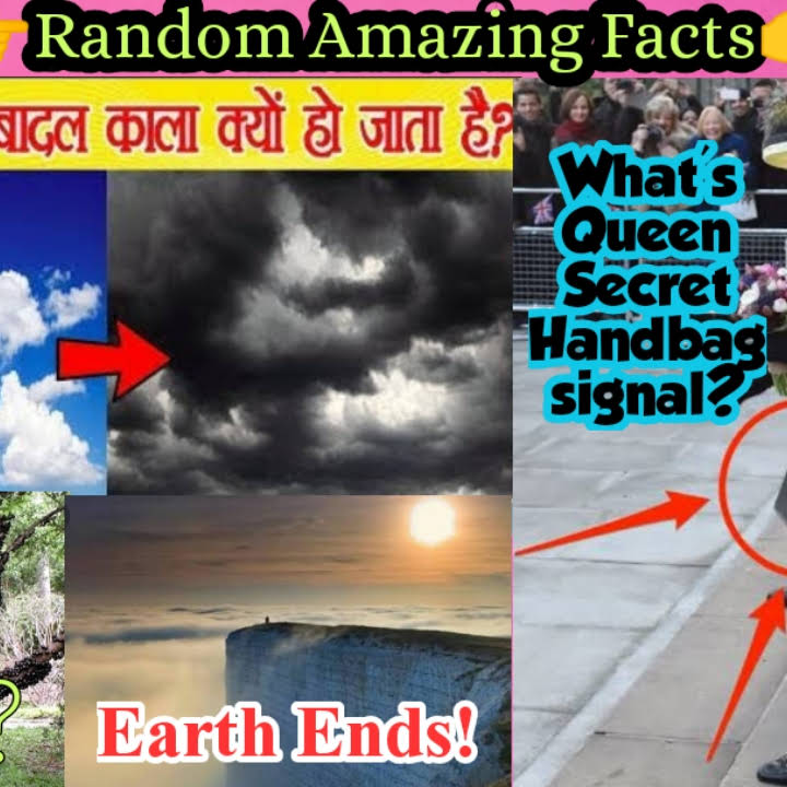 Post from The Factual Info