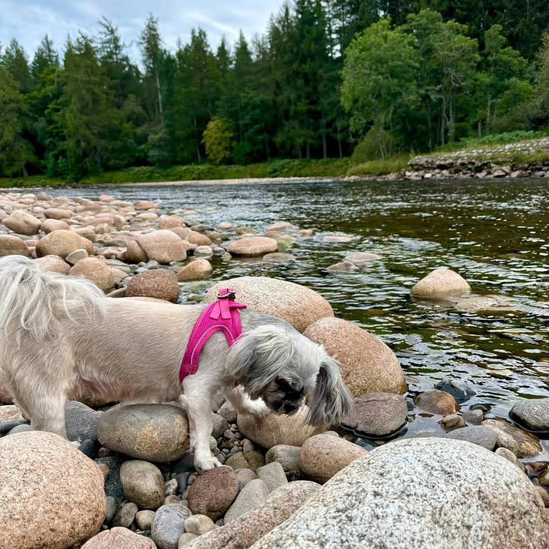 Post from Morgs, Jo & Boo 2