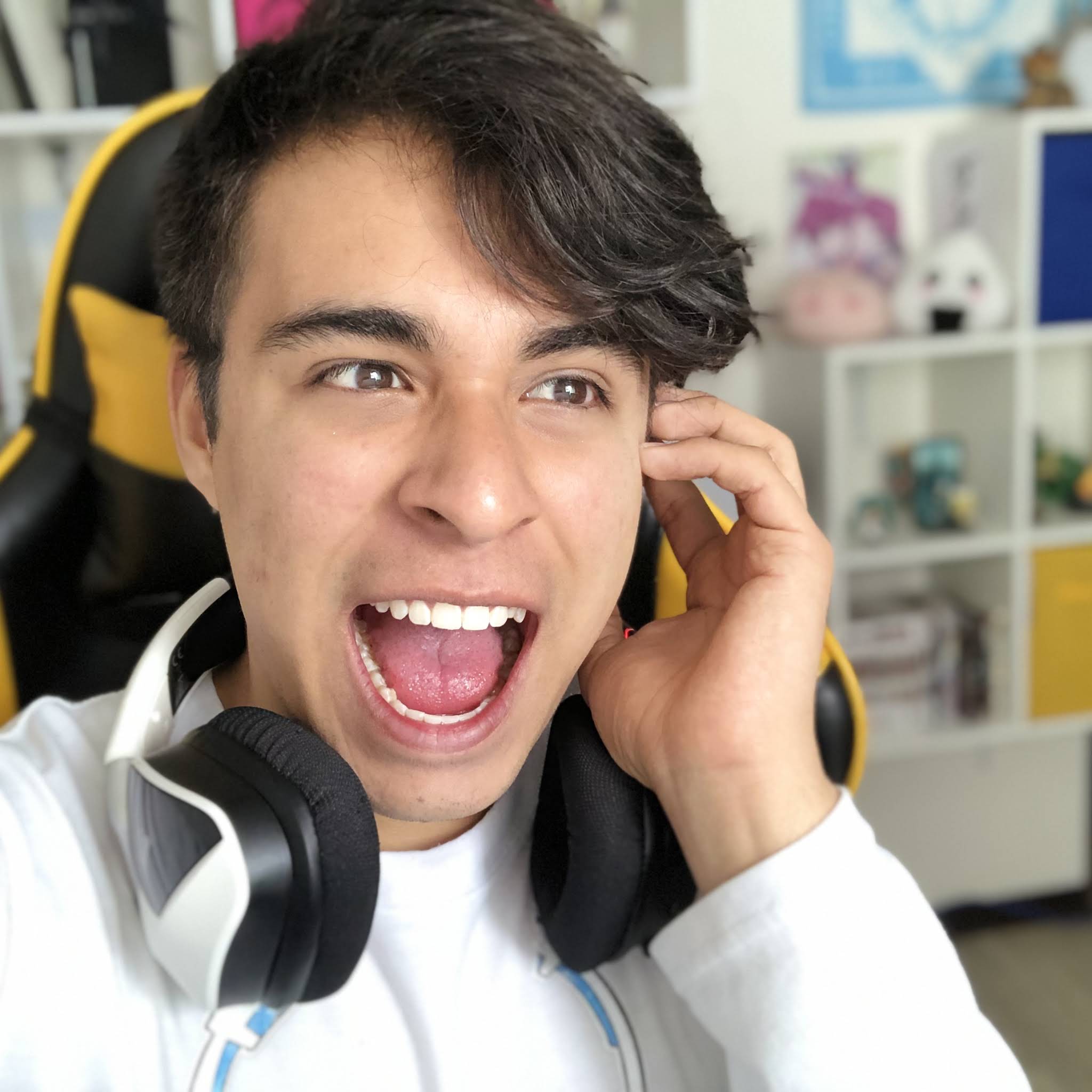 Post from RaptorGamer