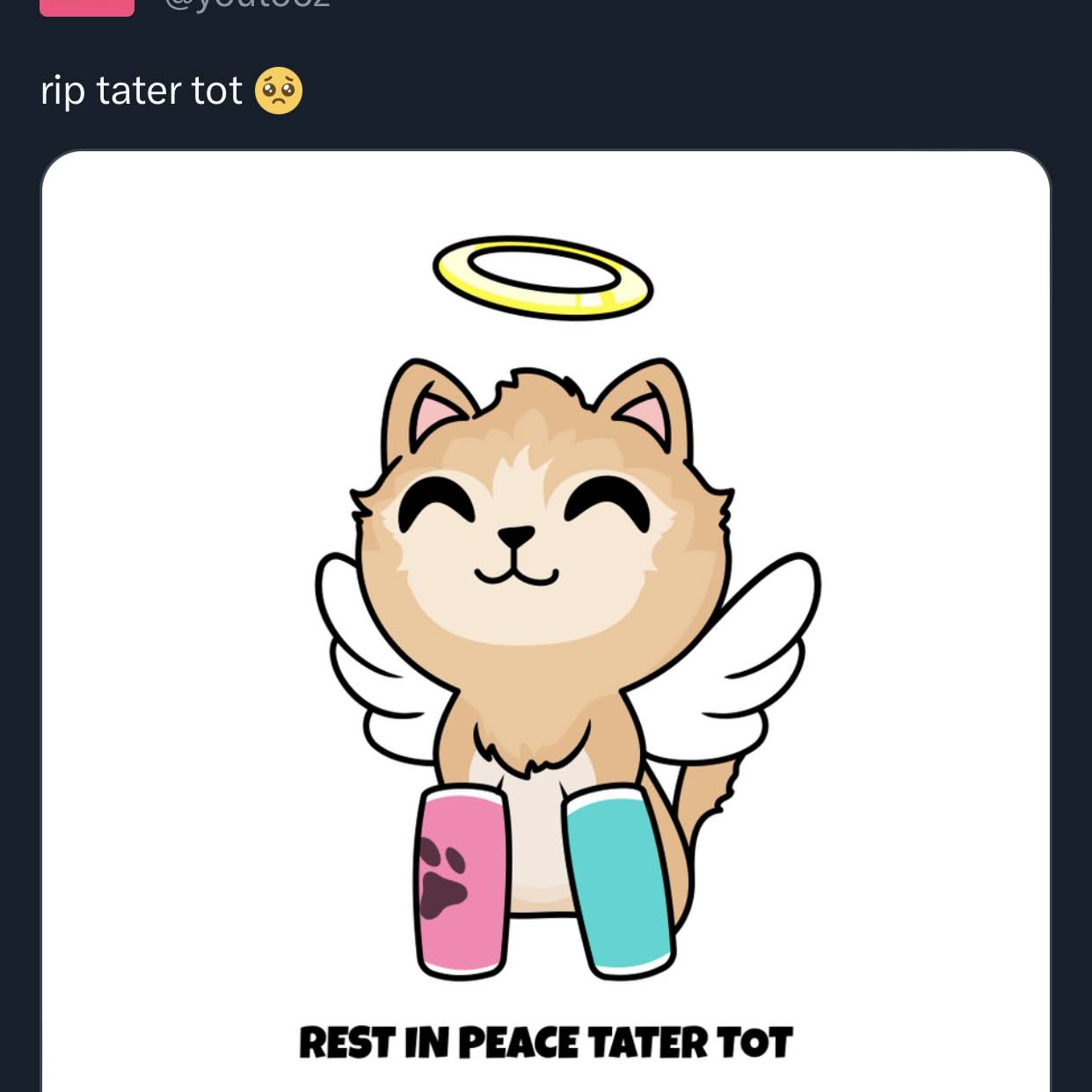 Post from Albert Mation