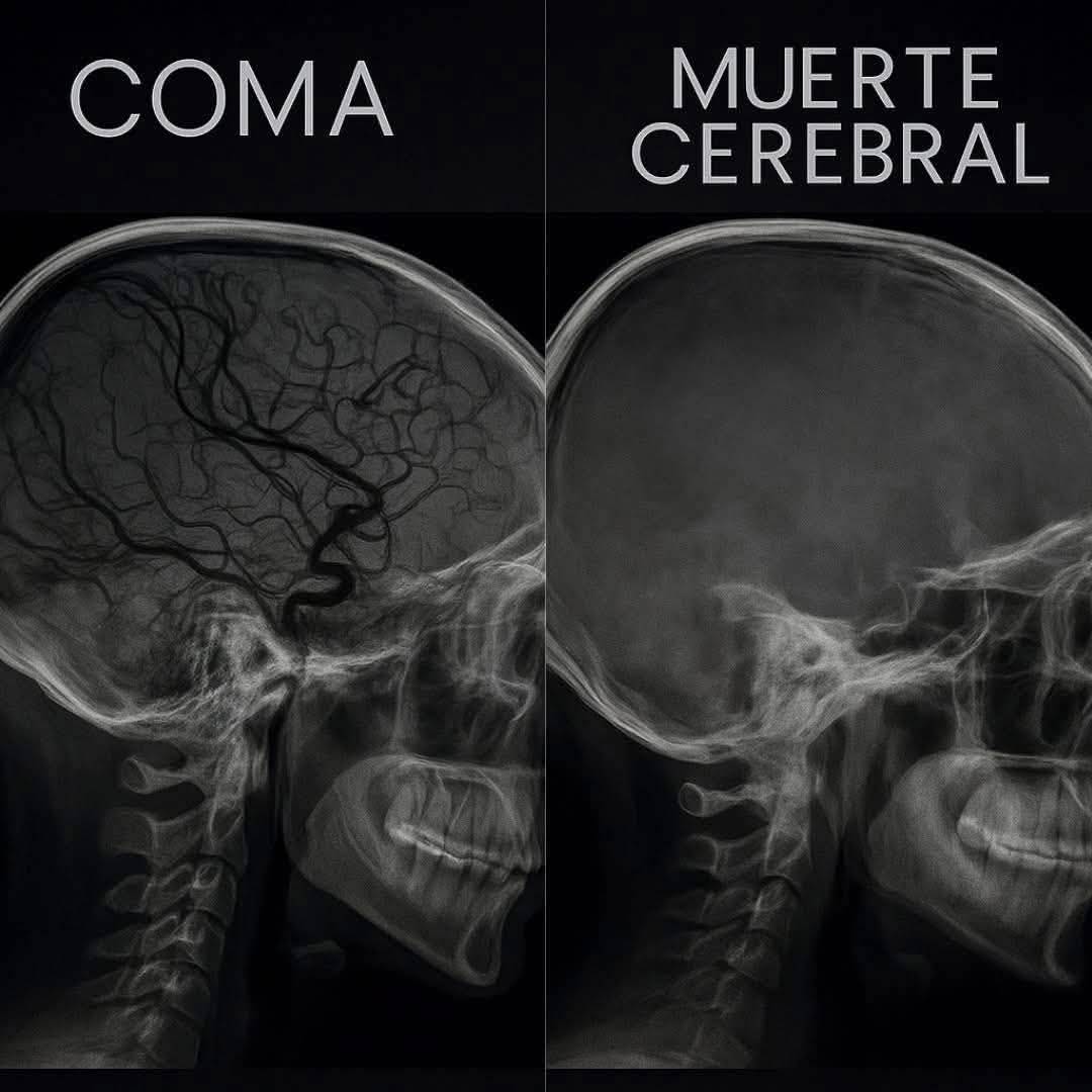 Post from Retro Solid