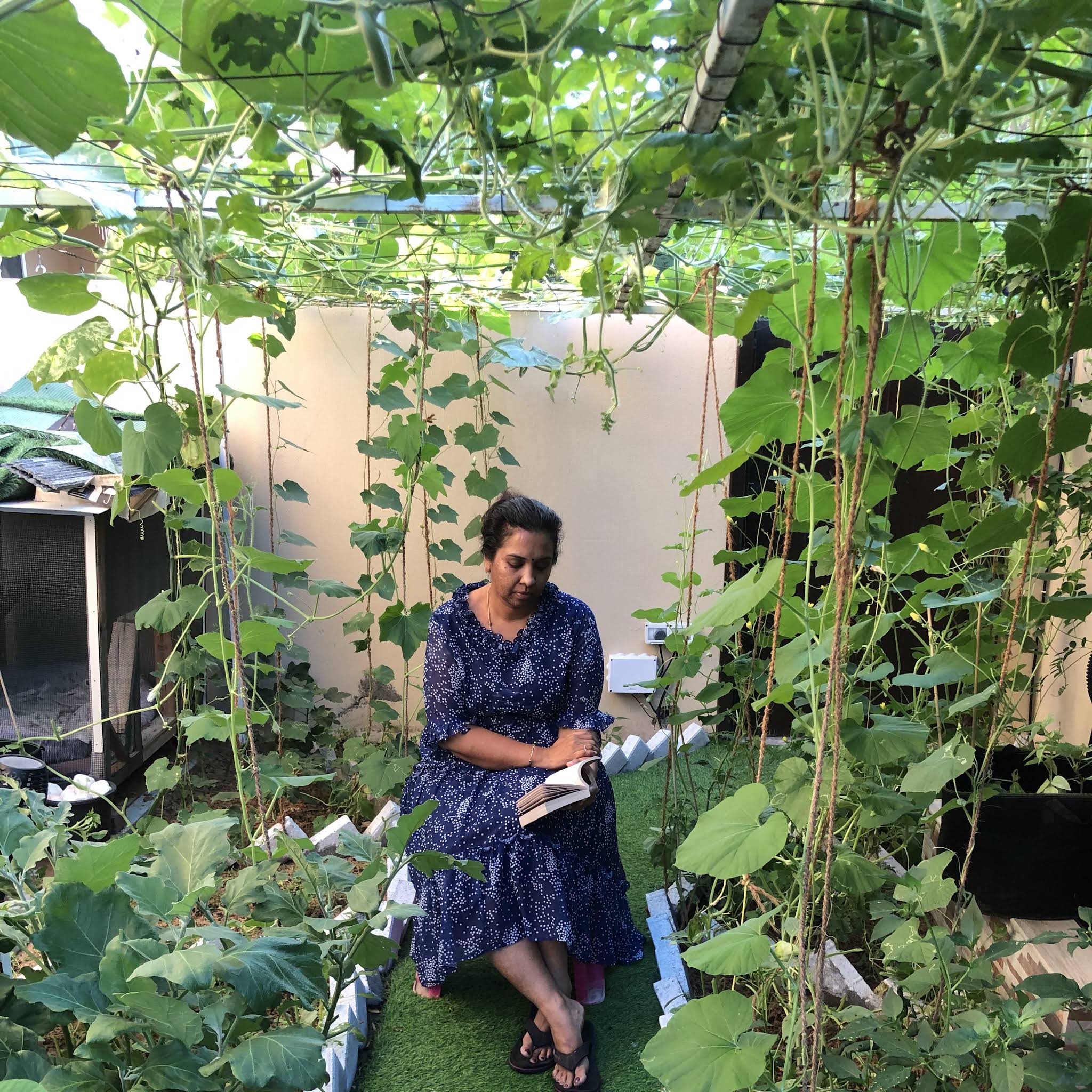 Post from Vinis Kitchen