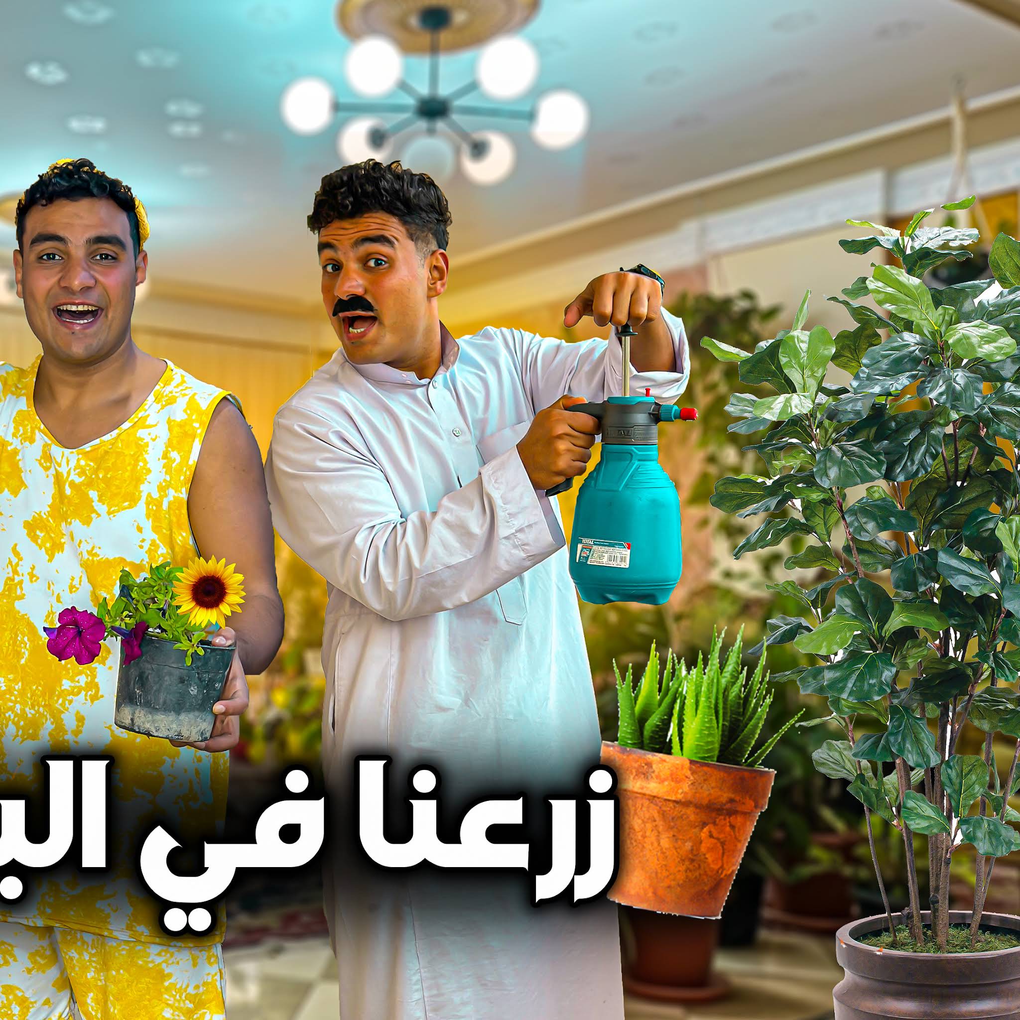 Post from SAIF EMAD
