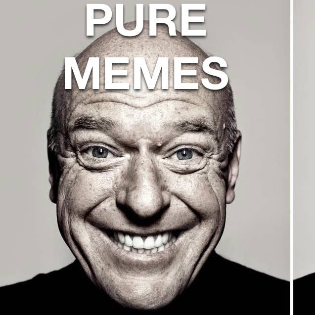 Post from PURE MEMES