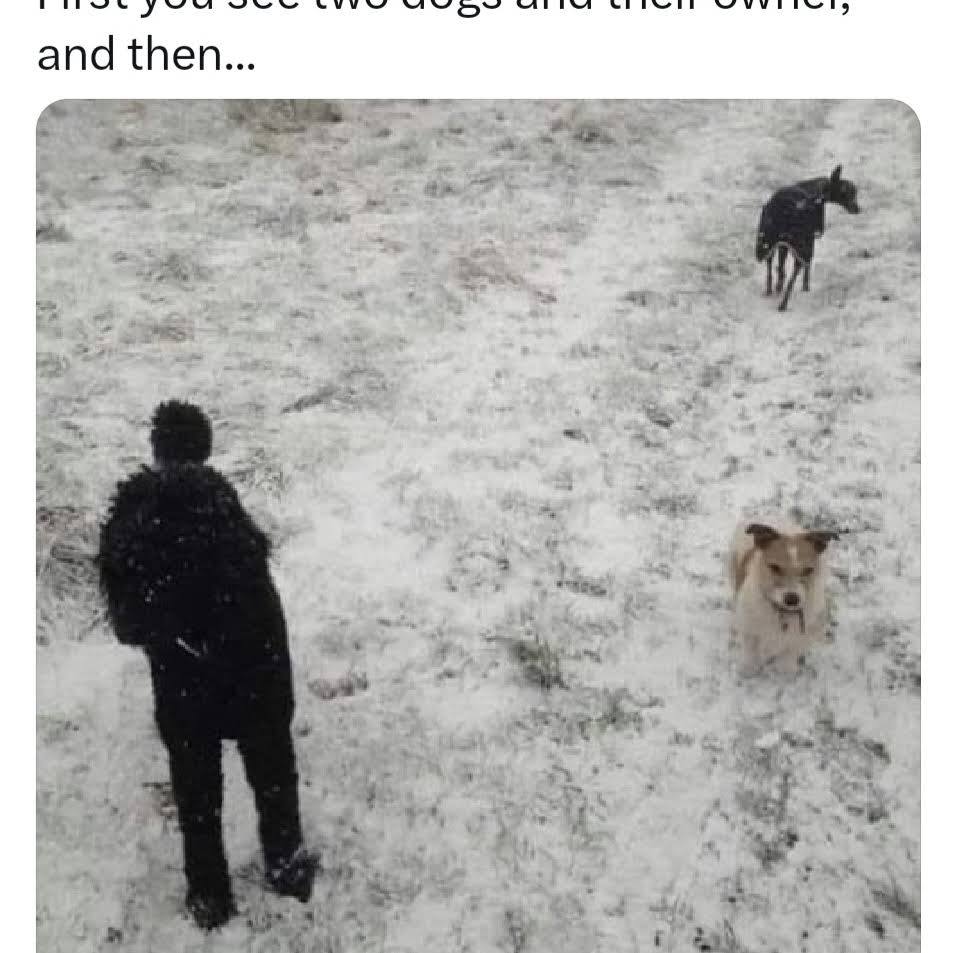 Post from Rebecca Pattison the History Buff