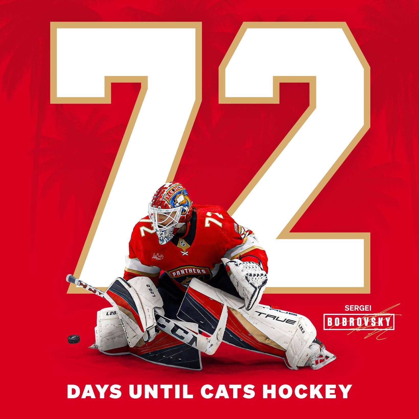 Post from Florida Panthers