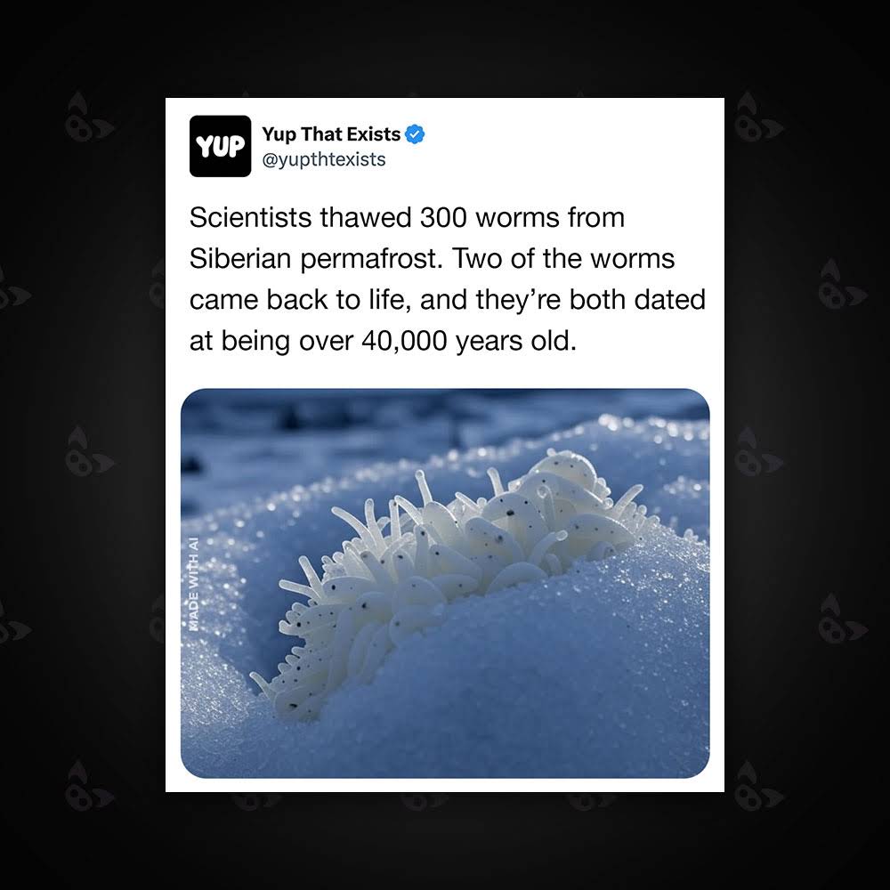 Post from Slapped Ham