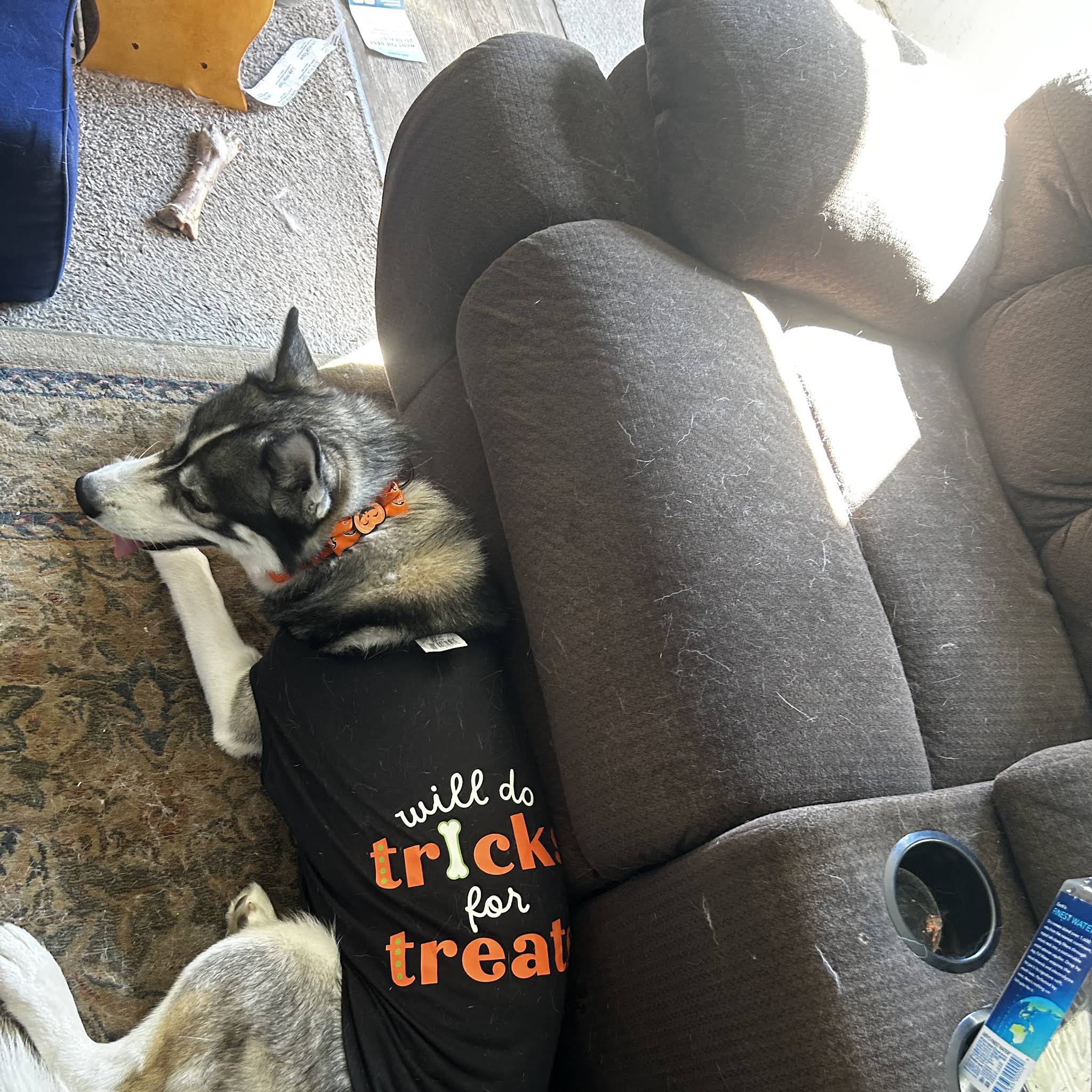 Post from 🐺 Bad Wolf🐺