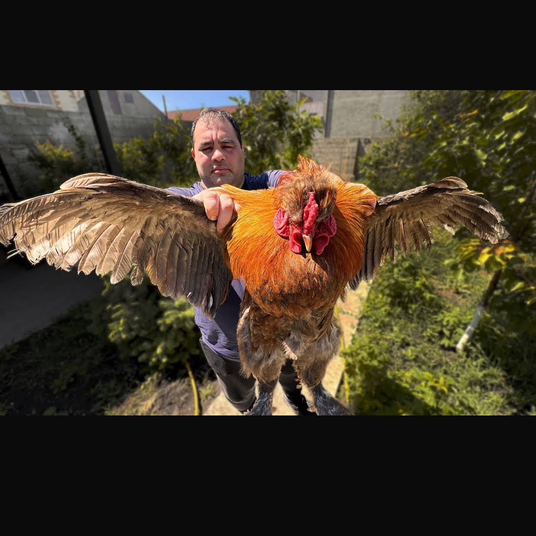 Post from KING COOKING