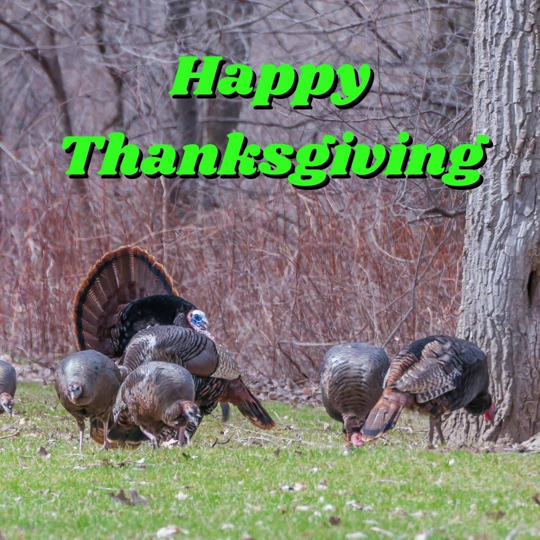 Post from L&M Country Adventures