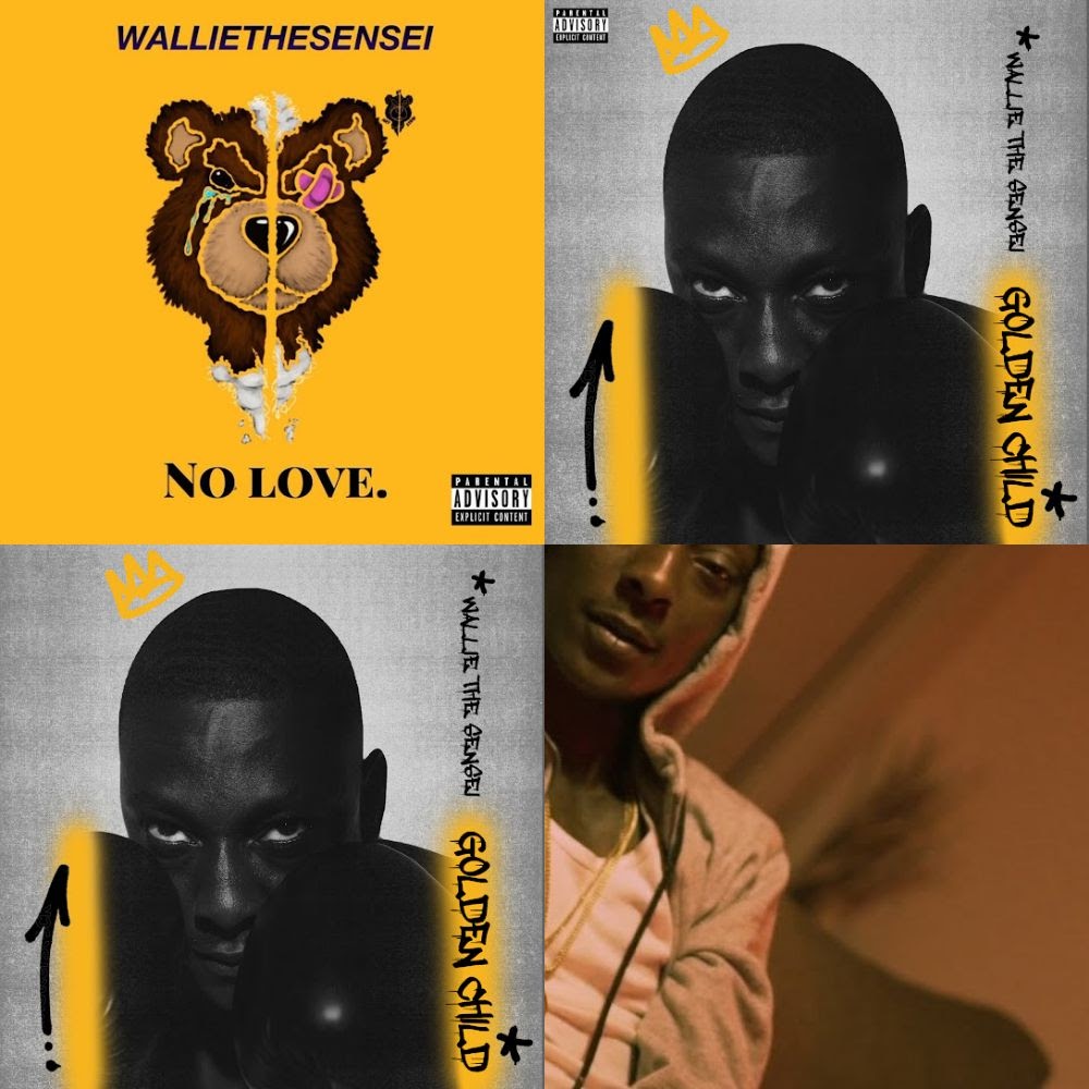 Wallie the Sensei songs