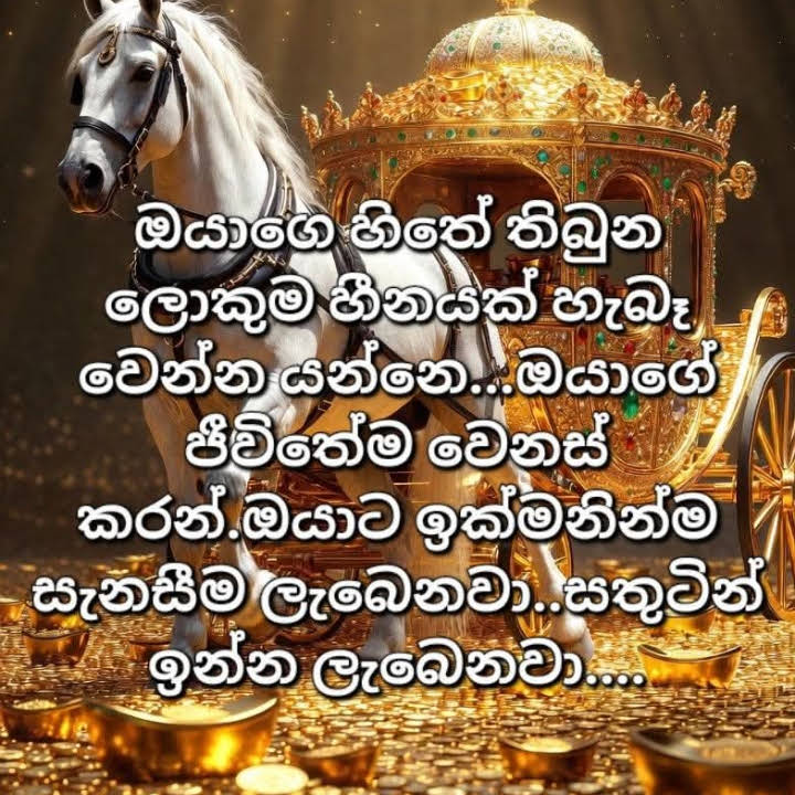 Post from Ayale 1111
