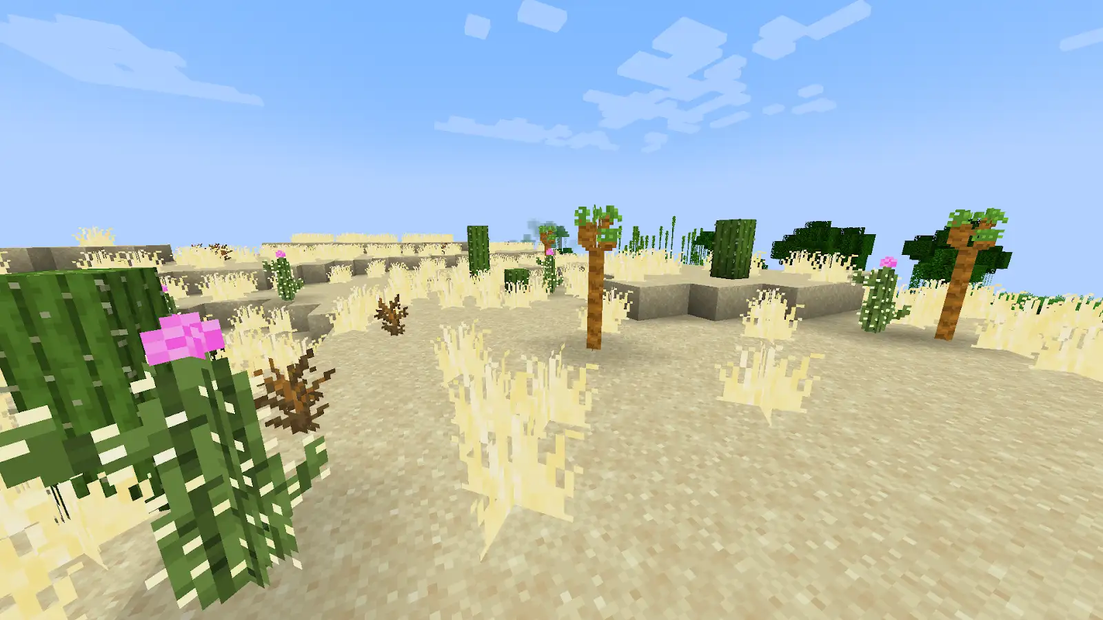 I Added Desert Plants To My Minecraft Mod