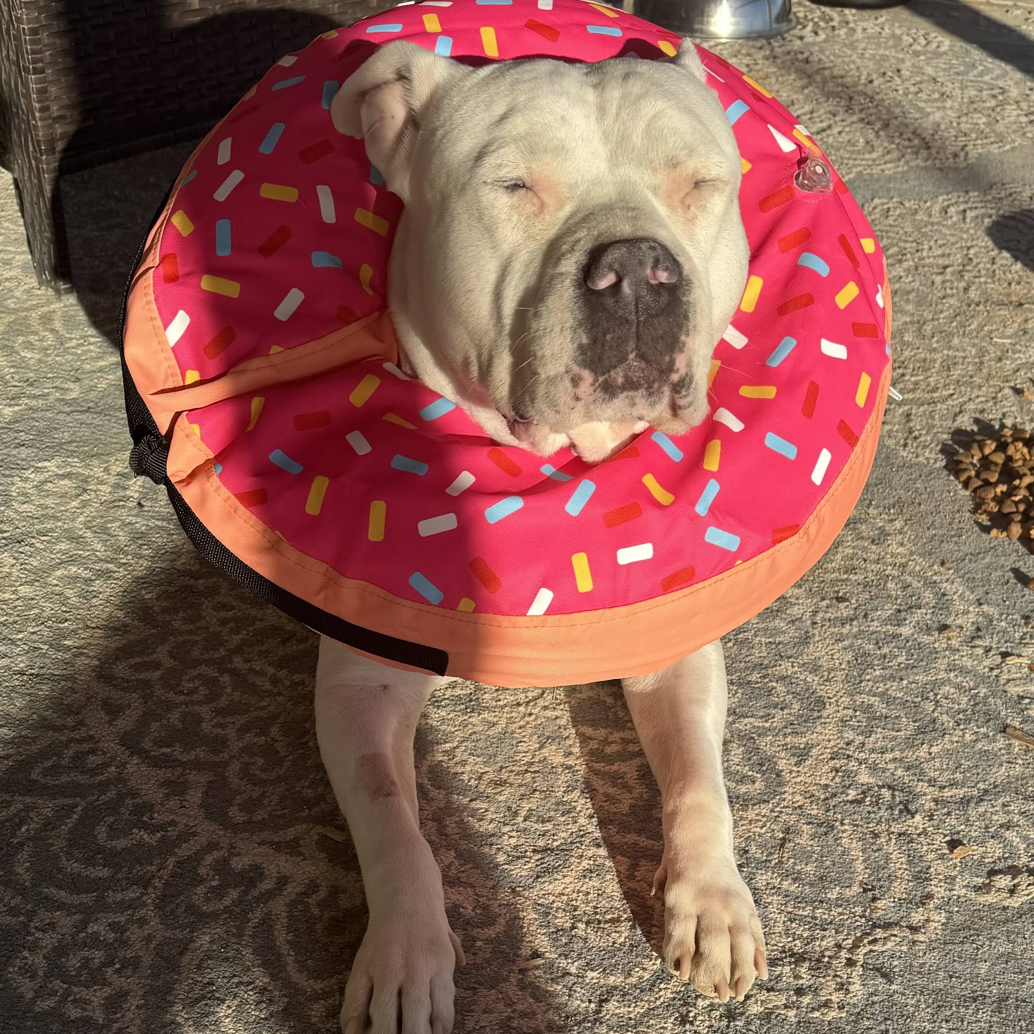 Post from Full Custom Ian