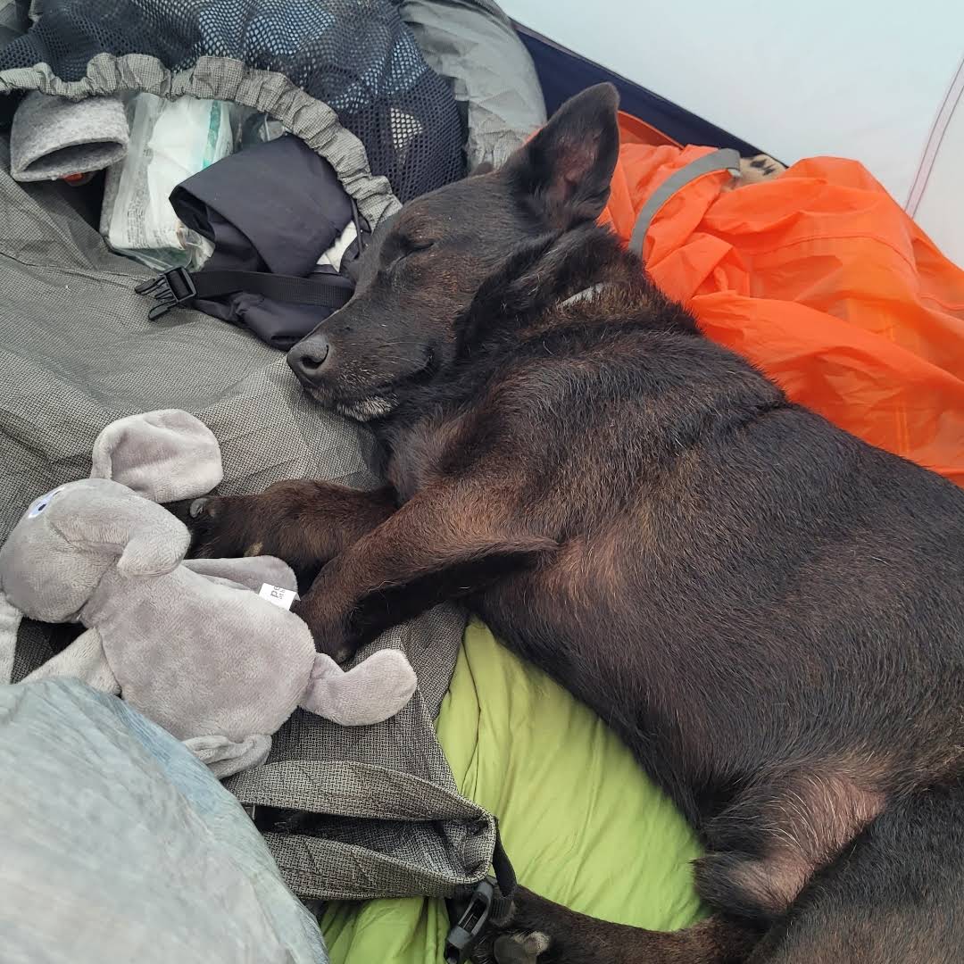Post from Elli hikes