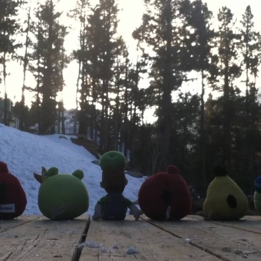 Post from Snowdodger1