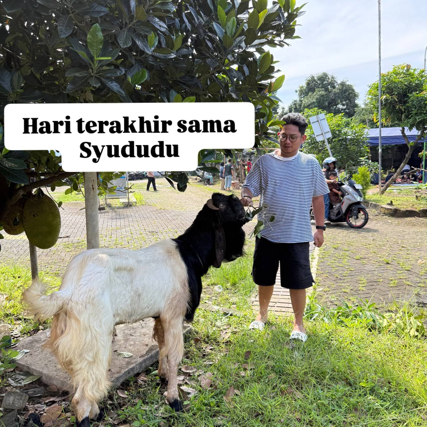 Post from RJL 5 - Fajar Aditya