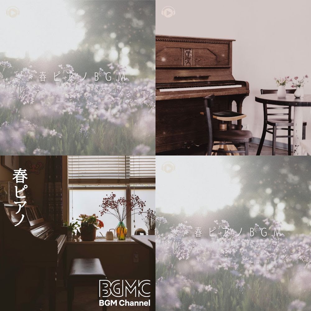 BGM 🌸春🌸