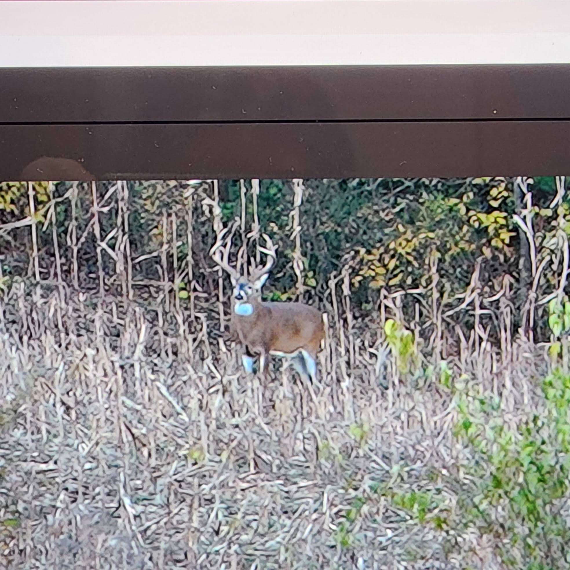 Post from Kaitlyn Maus Outdoors