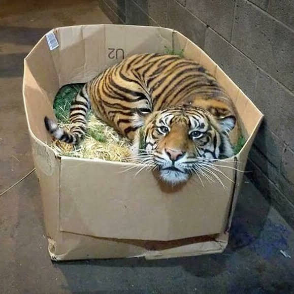 Post from No One Any Moore