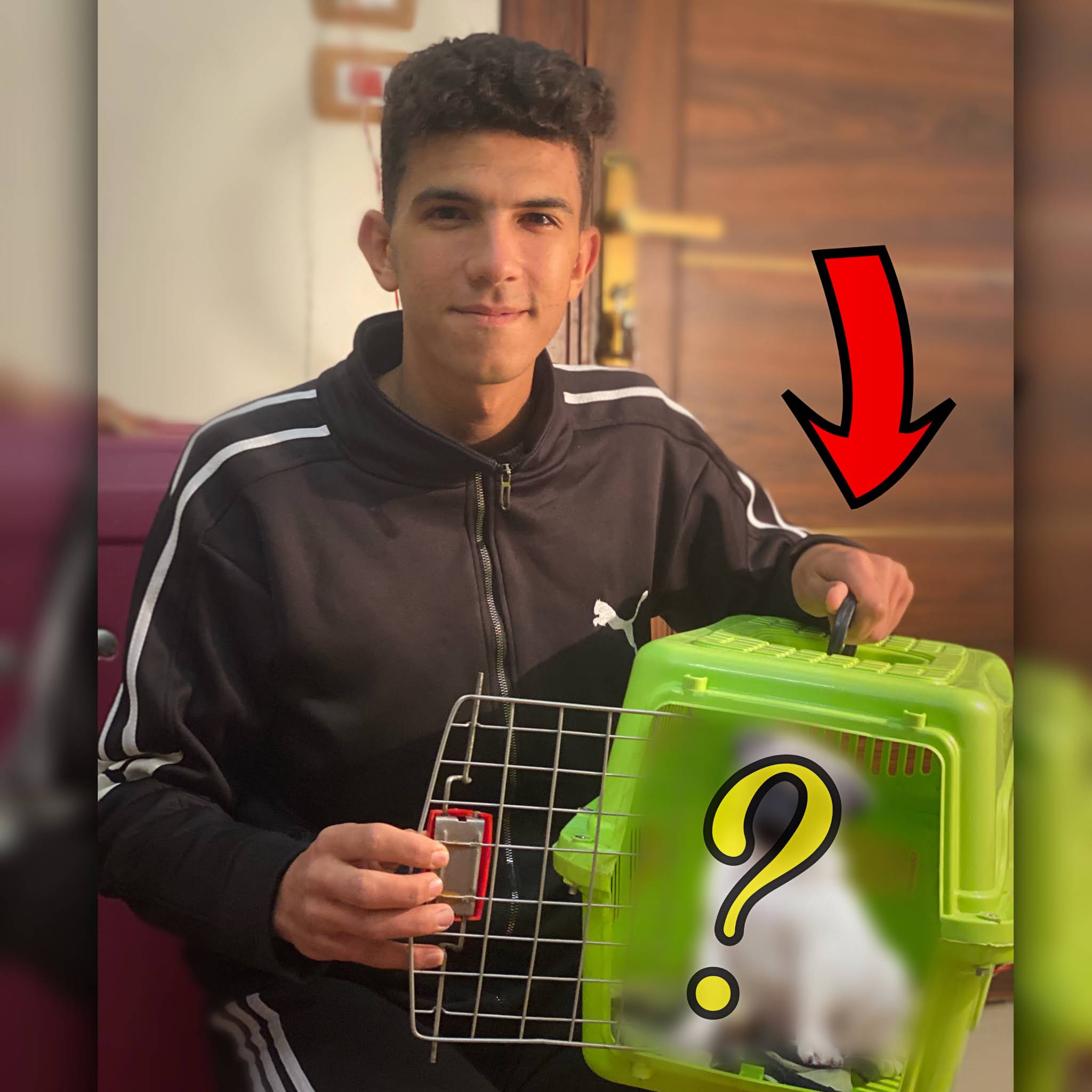 Post from Omar Ahmed - Animals