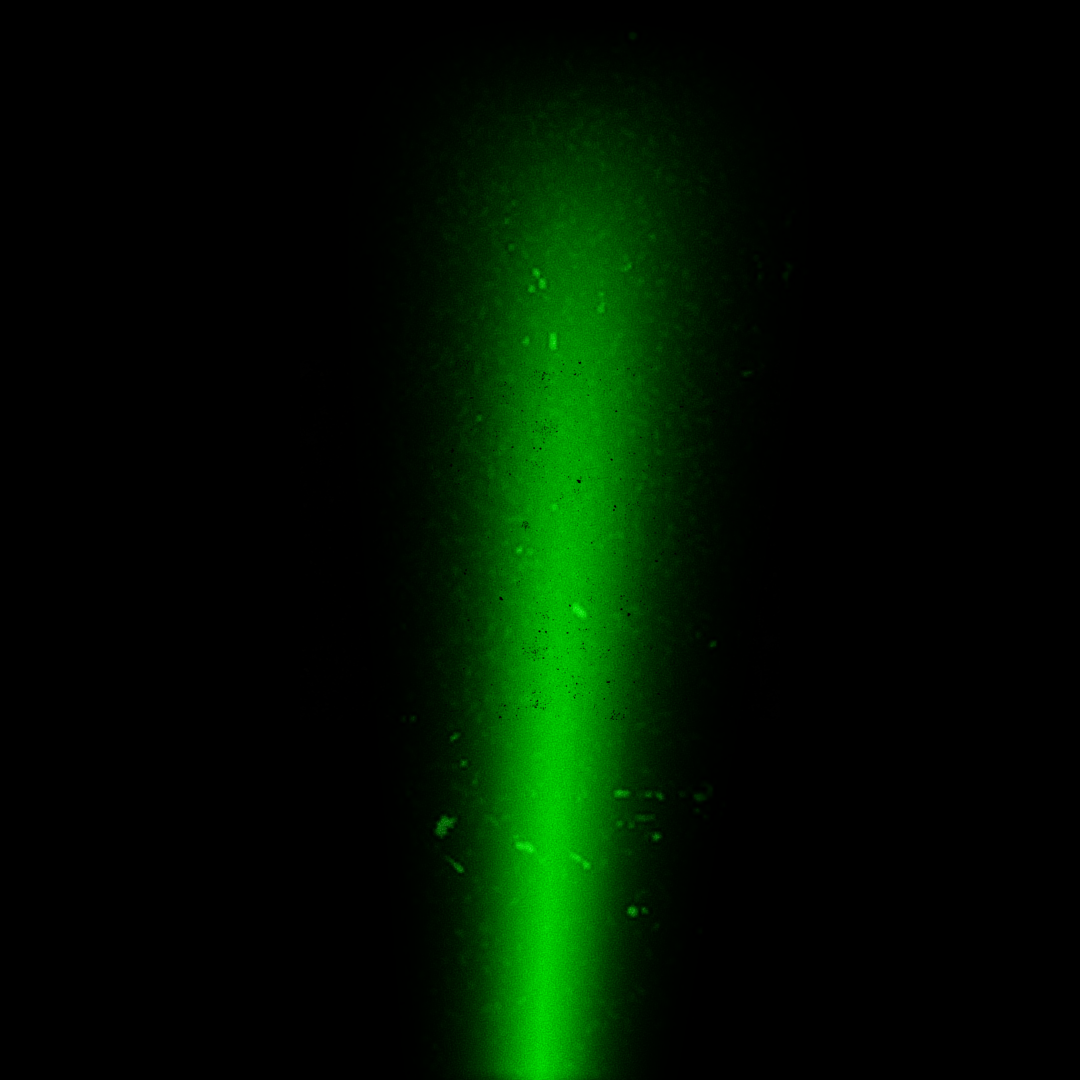 Post from Pixie - Roblox