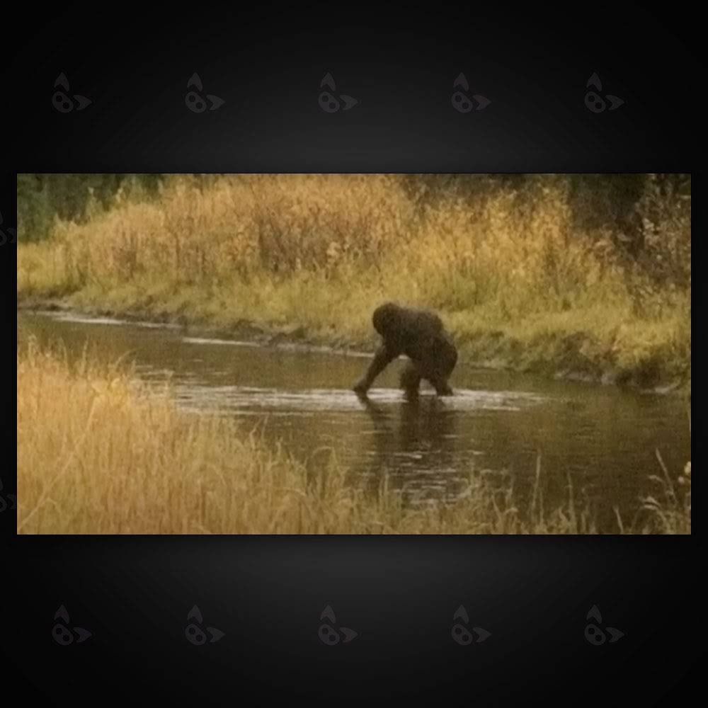 Post from Slapped Ham