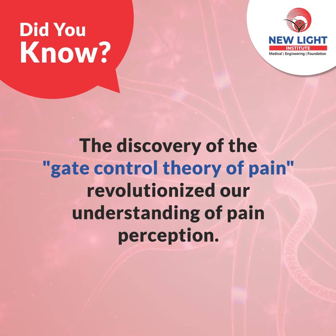 Post from New Light Neet