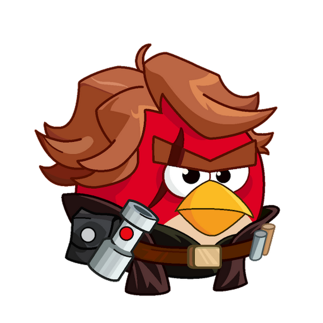 Post from Commander Bird