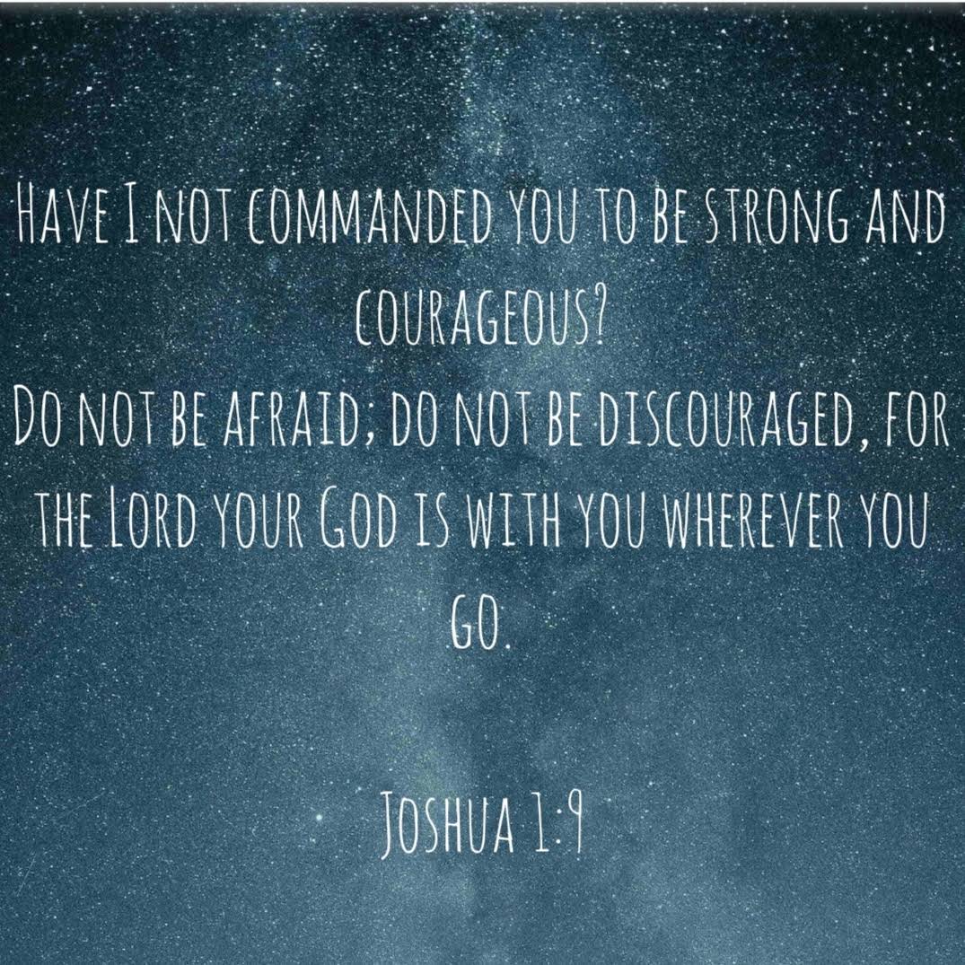 Post from Kay SOCO Films