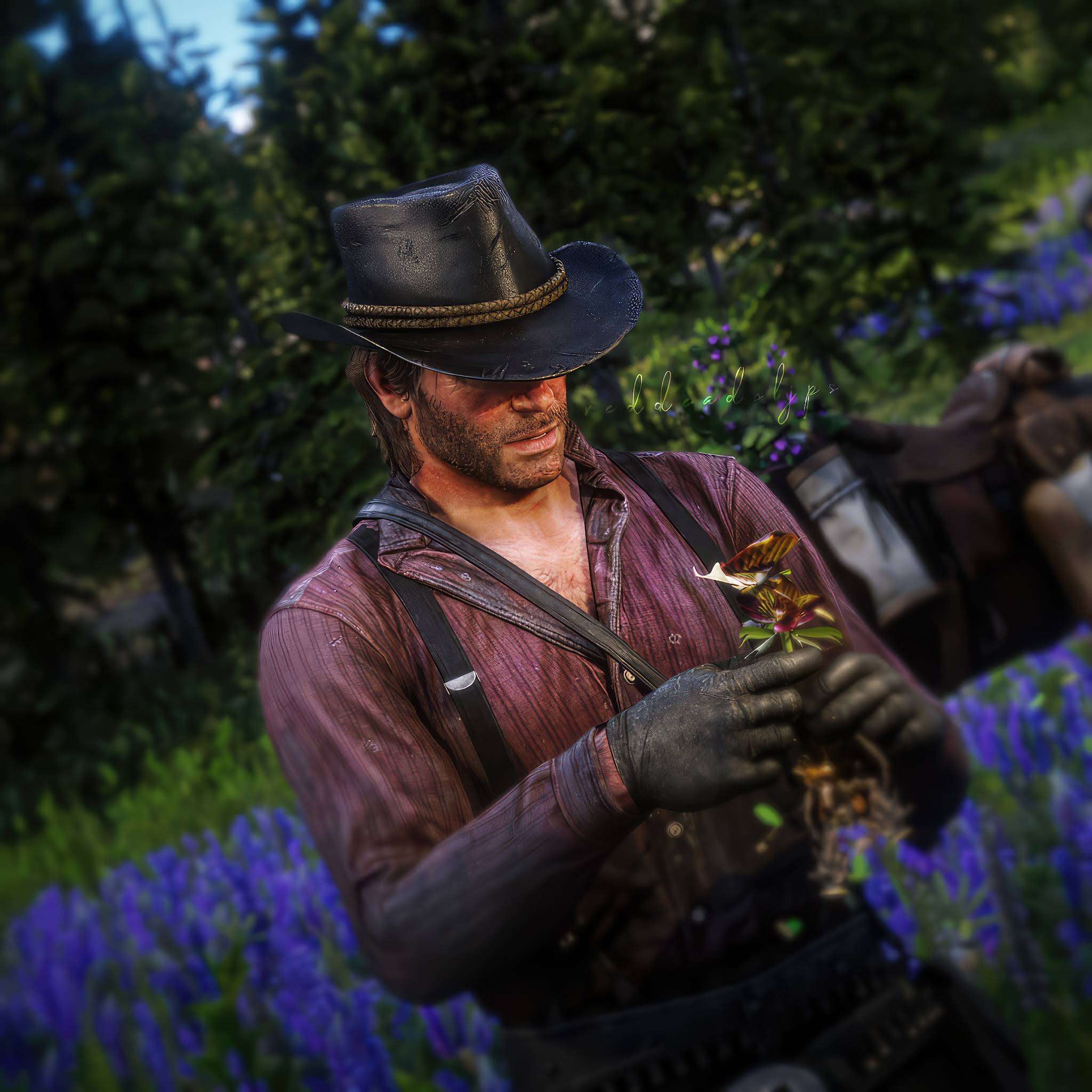 Post from Red Dead Cljps