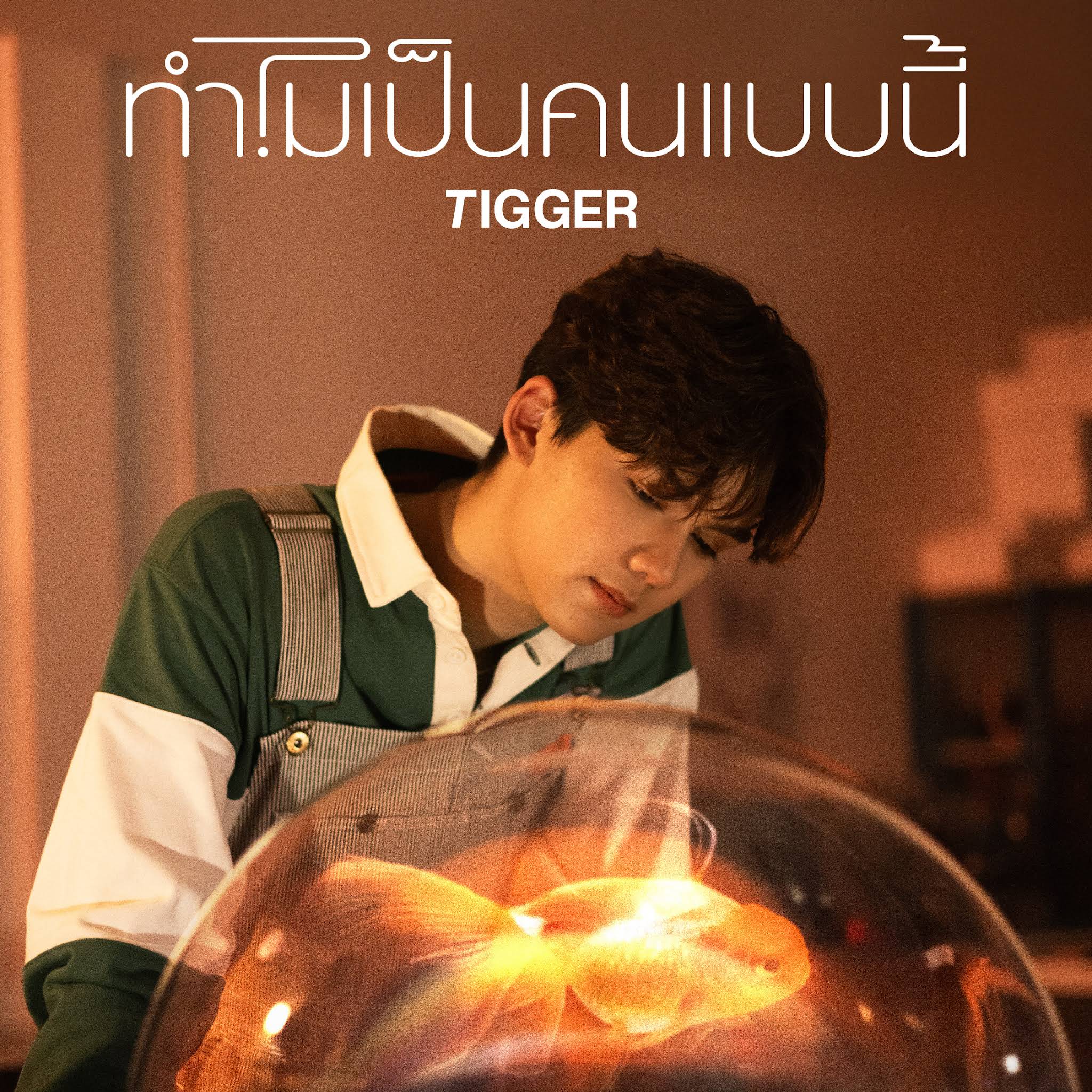 Post from Tigger Theriault