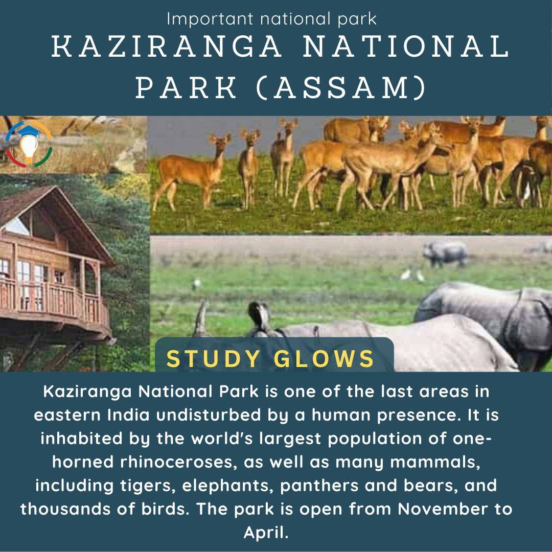 Post from Study Glows