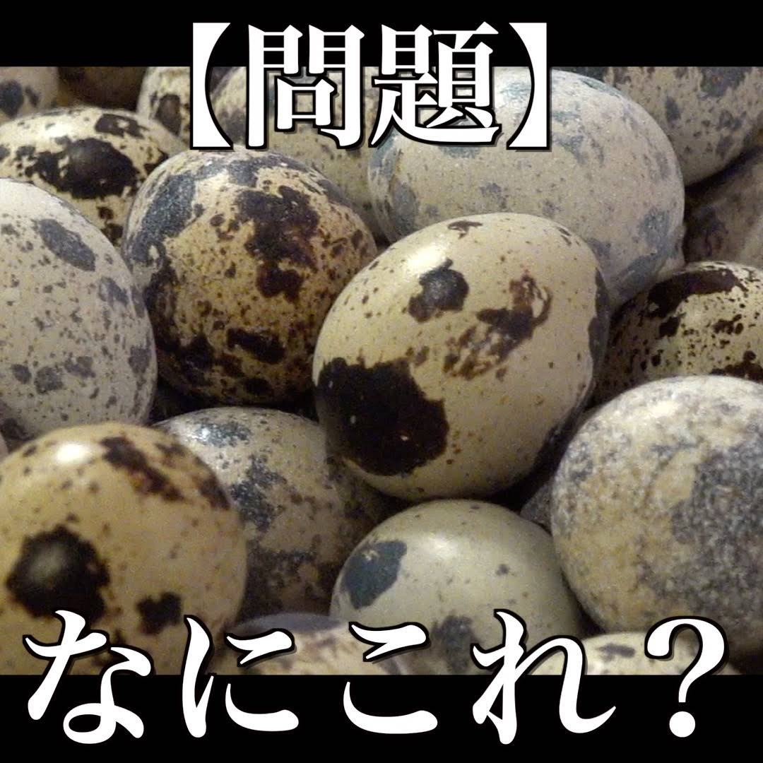 Post from Horumon Shimata