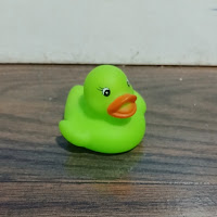 Post from The Green Ducky