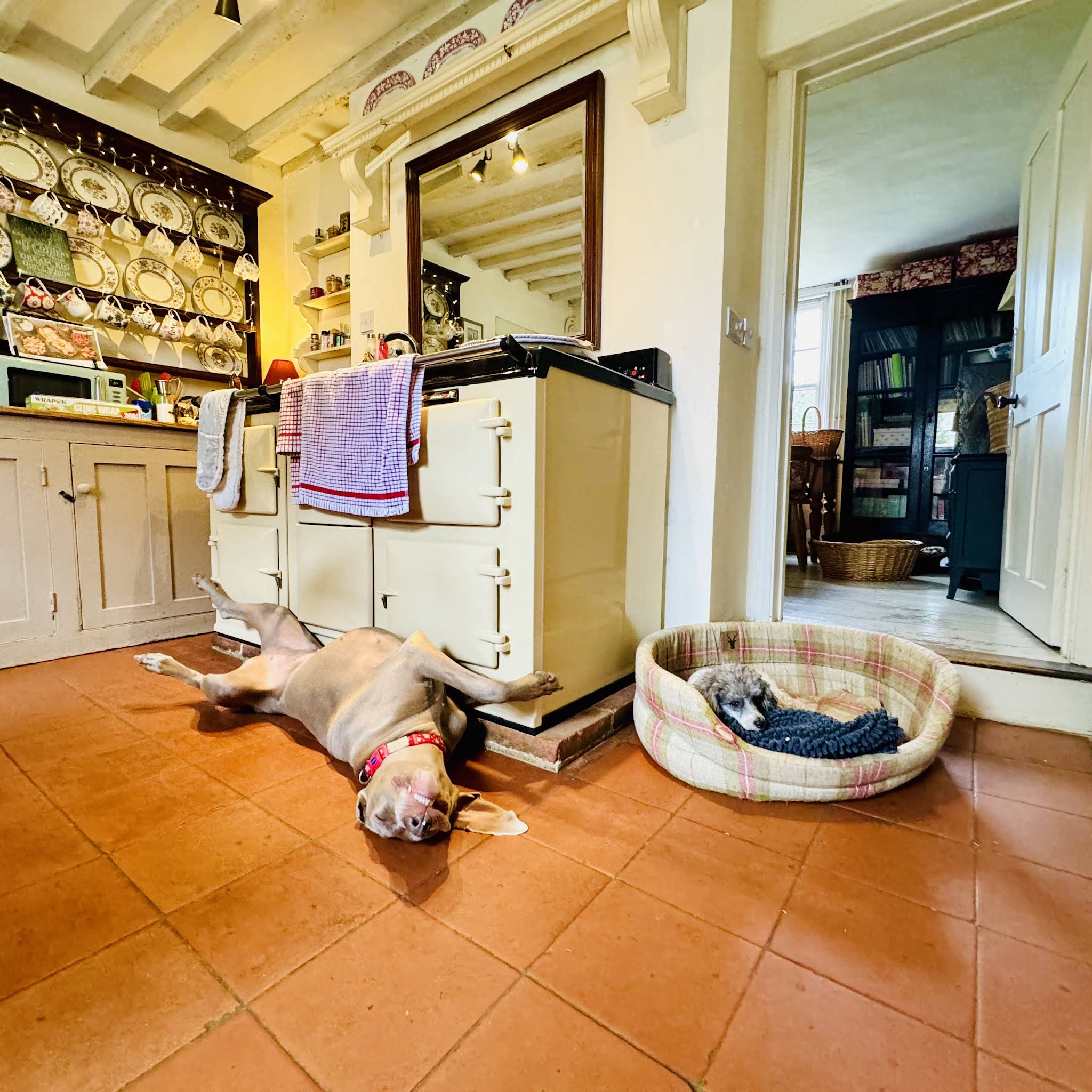 Post from Clean With Kate