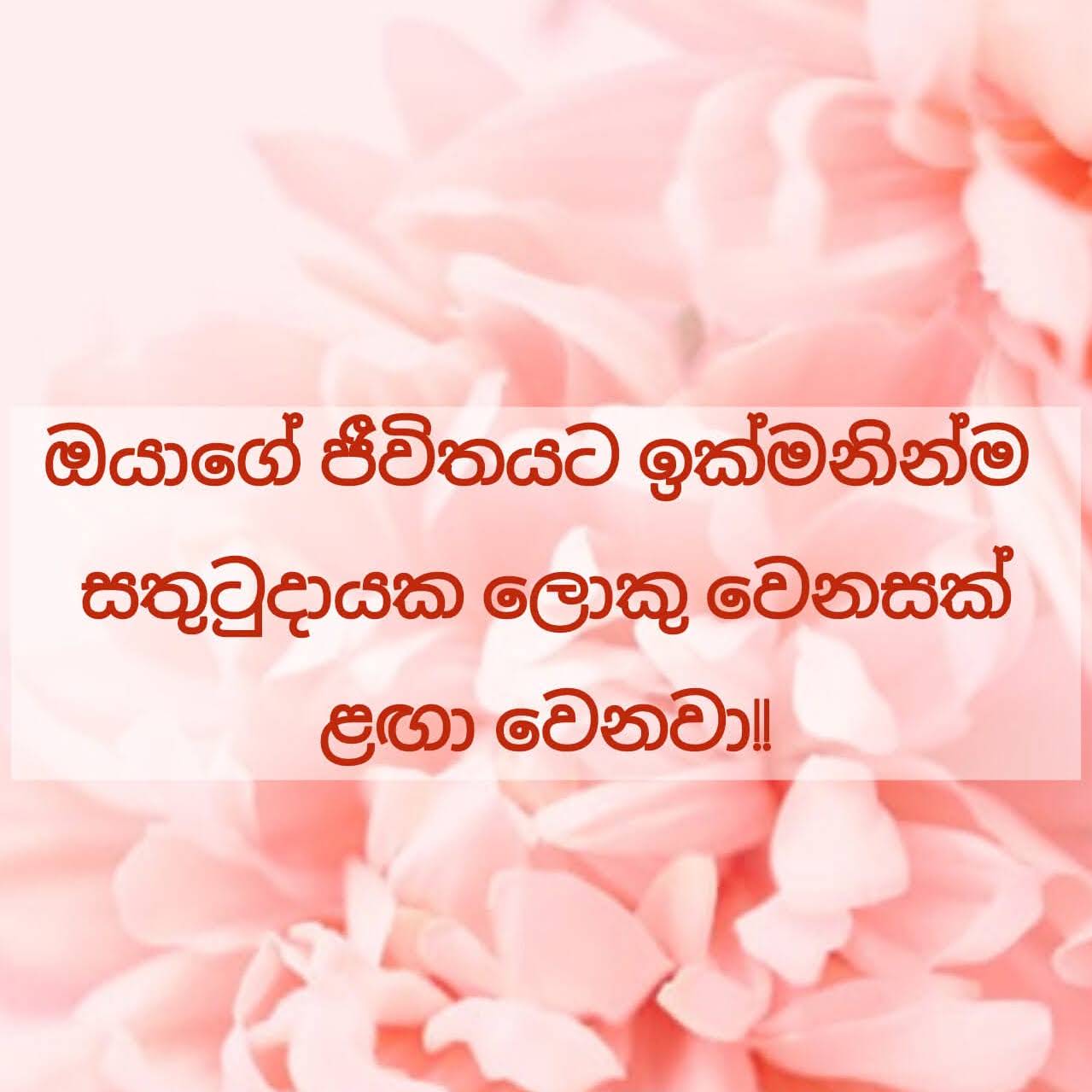 Post from Ayale 1111