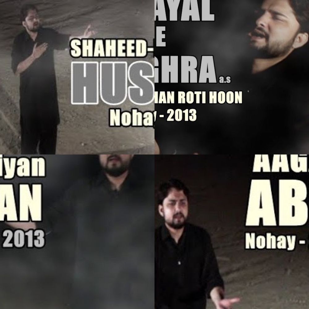 Syed Raza Abbas Zaidi 2013