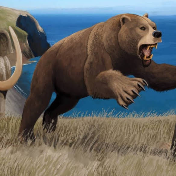 Post from Dizzy Rose