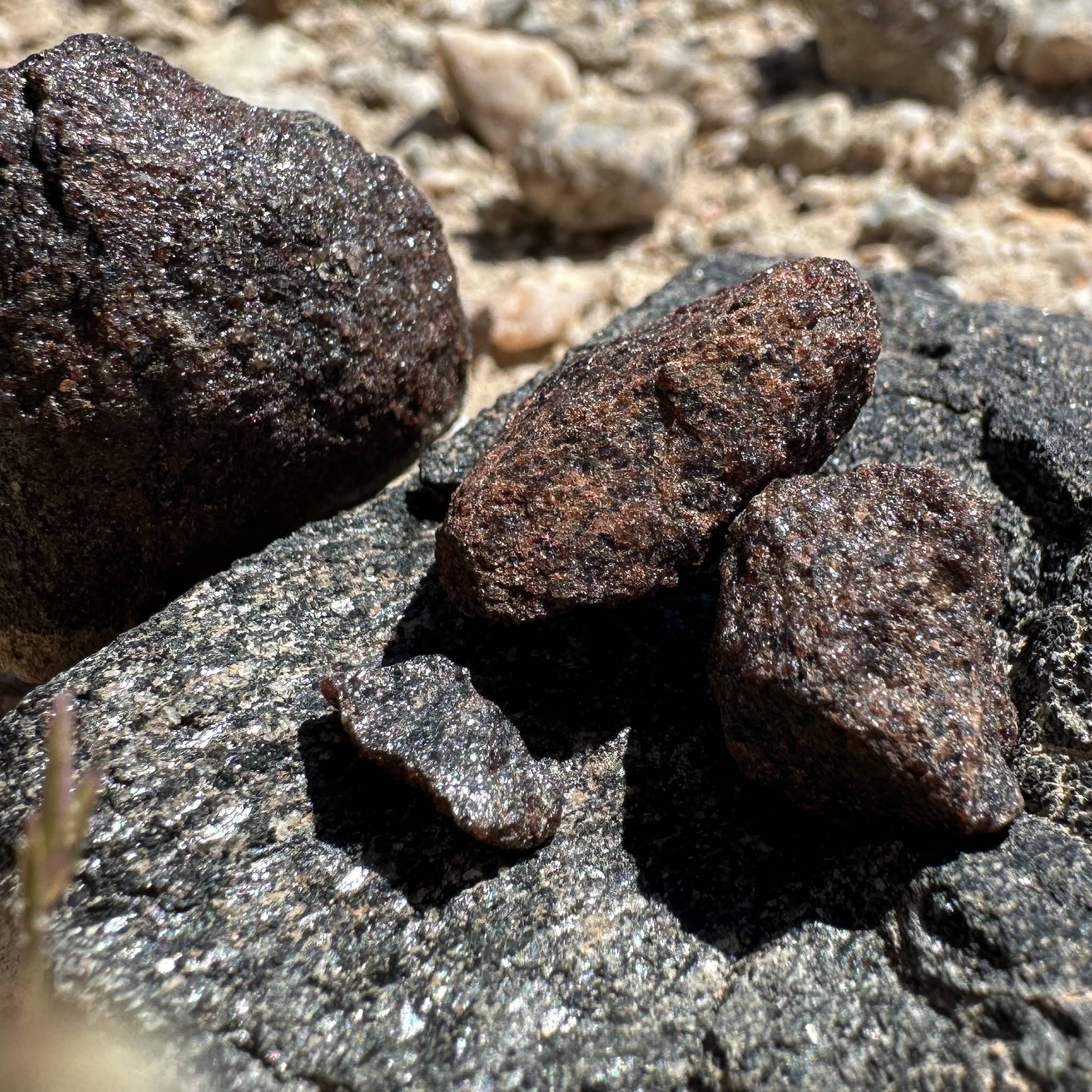 Post from Elley Knows Rocks