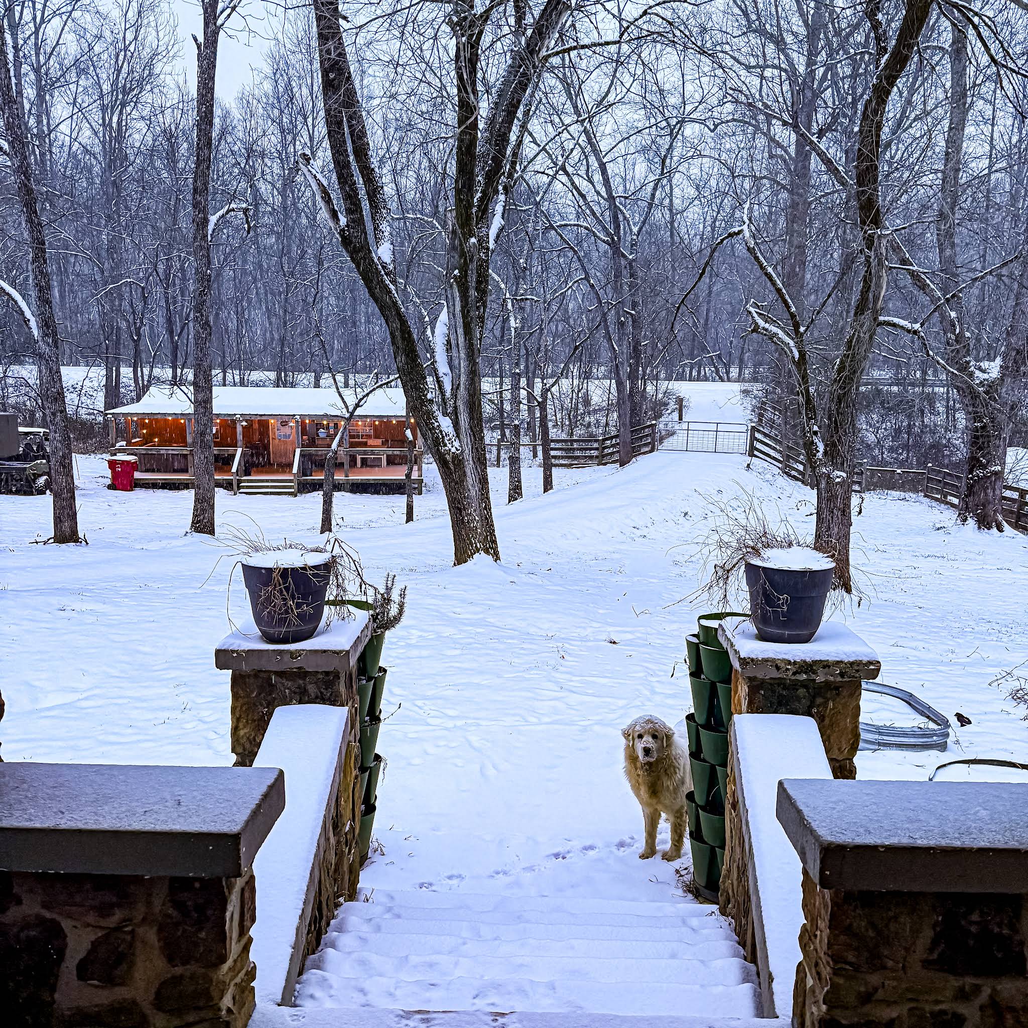 Post from Stivers Homestead