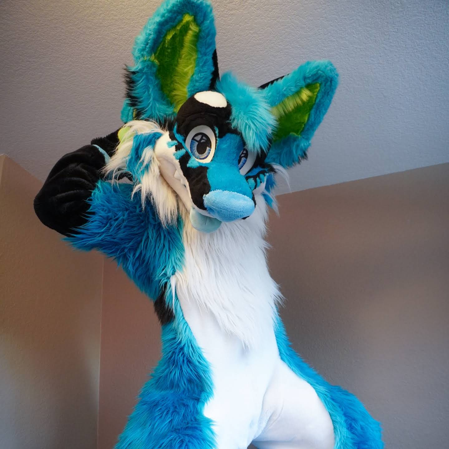 Post from Xusho Wolf