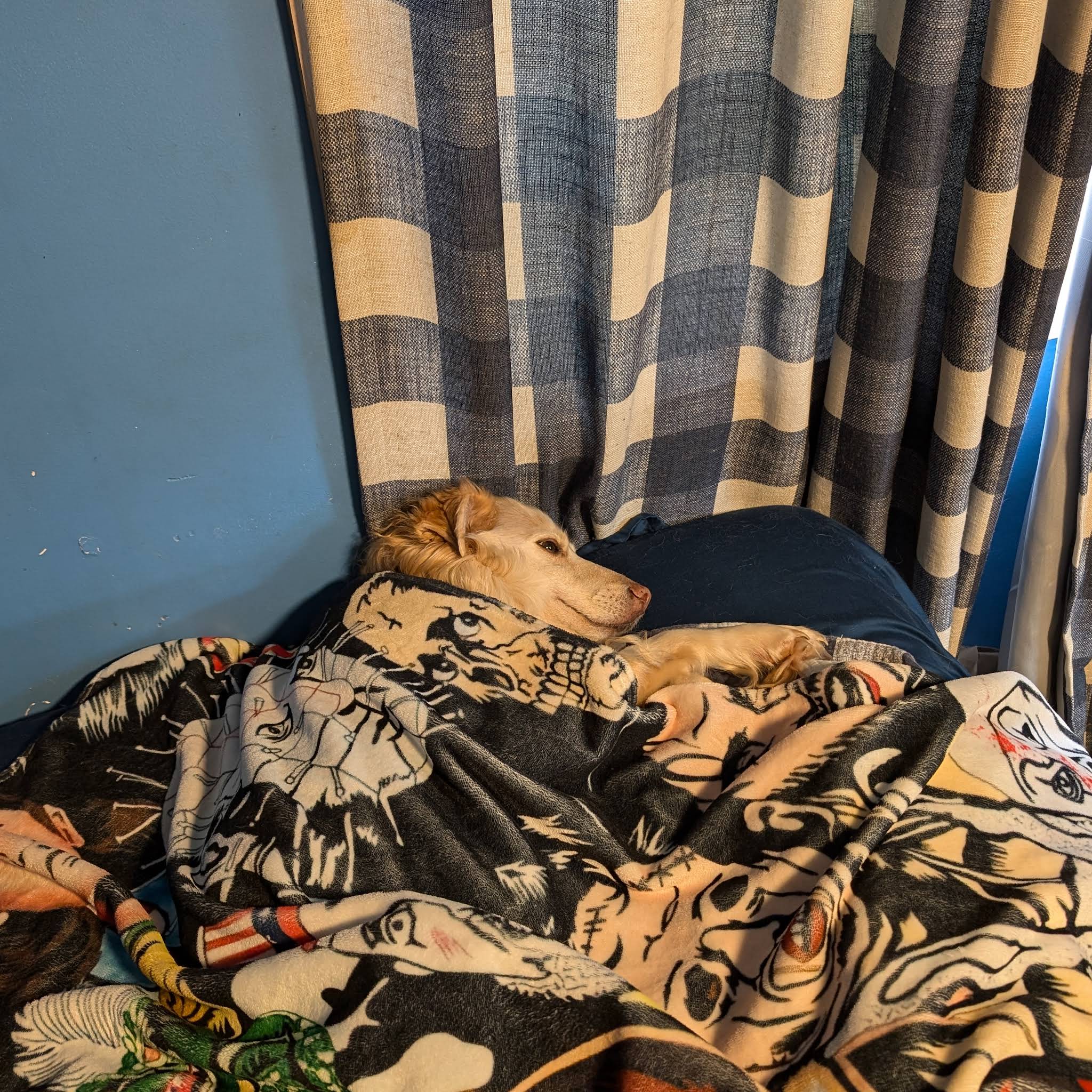 Post from HARRY SACKS