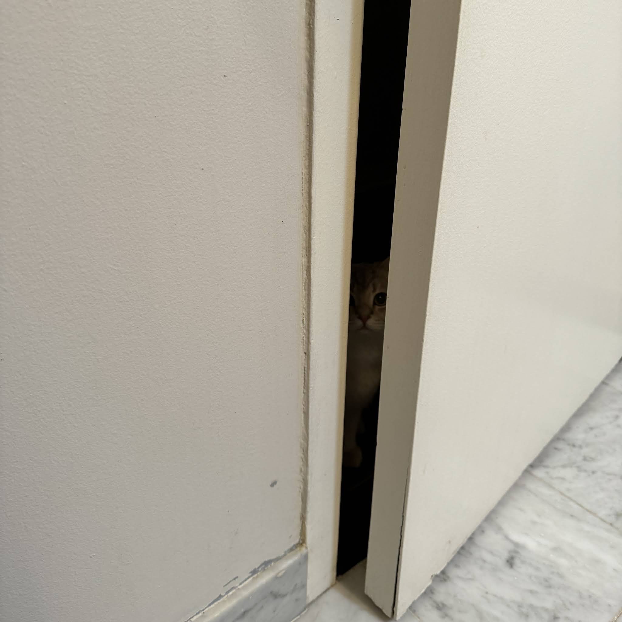 Post from Prince Louie & Todd